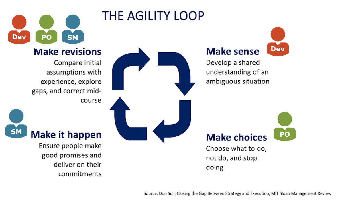 Mapping Scrum roles to Strategy and Execution – Moss and Lichens